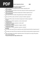 ANSWER KEY Enzyme Worksheet | PDF | Enzyme | Active Site