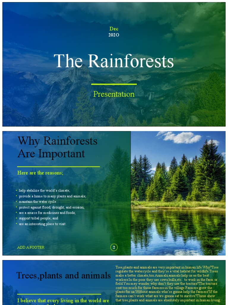 The Rainforests | PDF | Rainforest | Trees