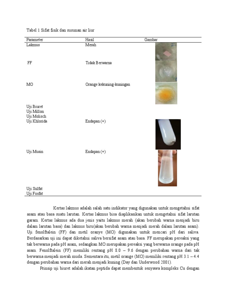 Laporan Praktikum Biokimia Enzim | PDF