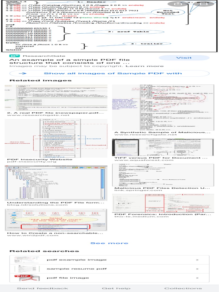 Sample PDF With Images - Google Search | PDF | Digital Technology ...