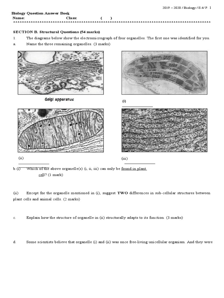 Biology Question Answer Book Name: Class: SECTION B. Structural ...