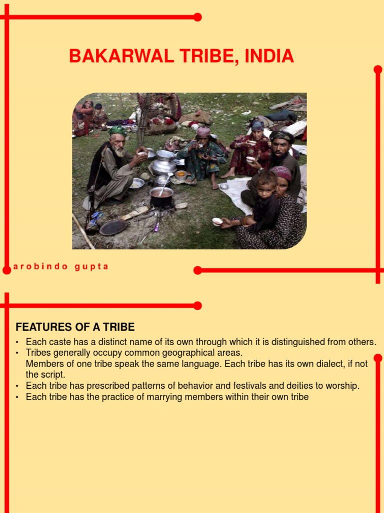 The Bakrwal Tribe | PDF | Society | Kashmir