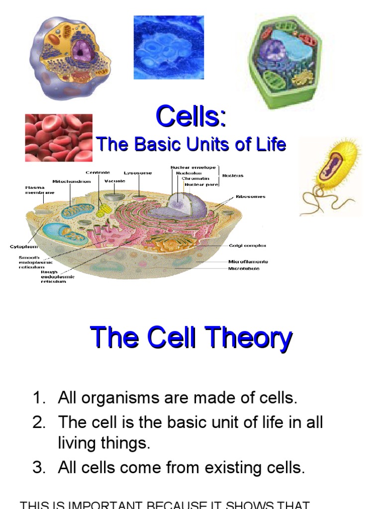 Parts of The Cell | PDF | Cell (Biology) | Endoplasmic Reticulum