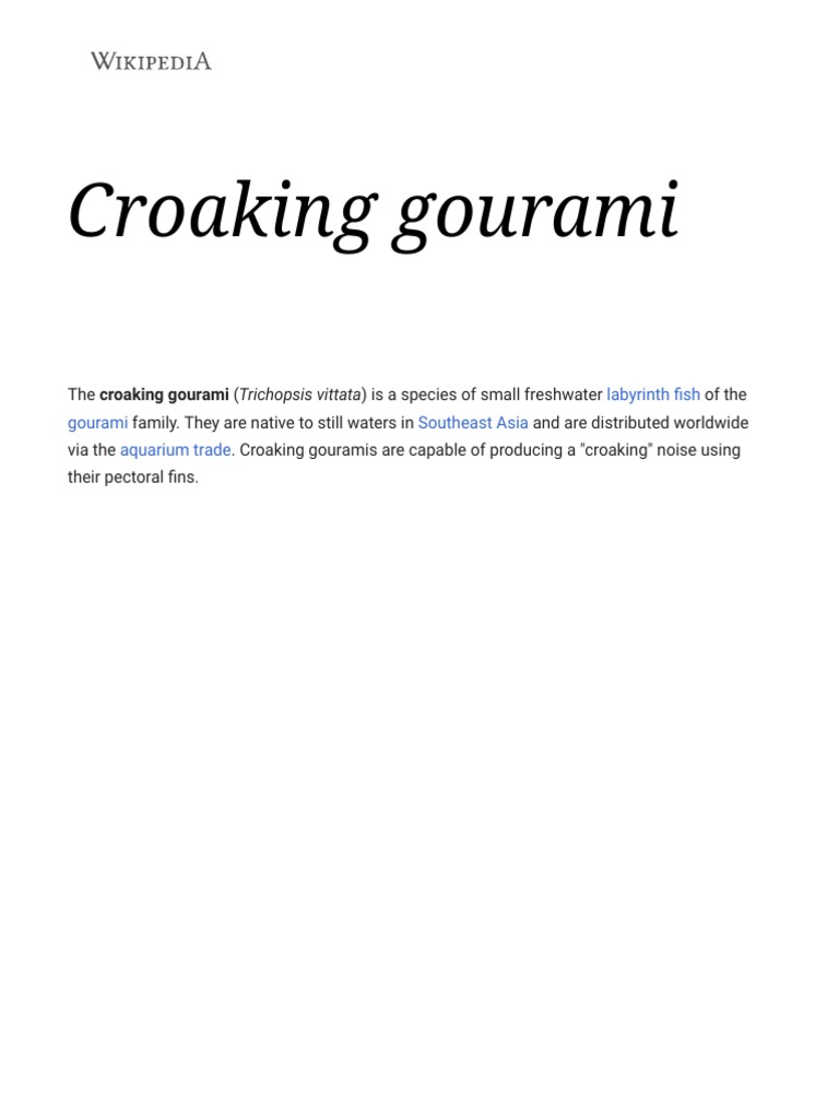 Croaking Gourami: Labyrinth Fish Gourami Southeast Asia Aquarium Trade ...