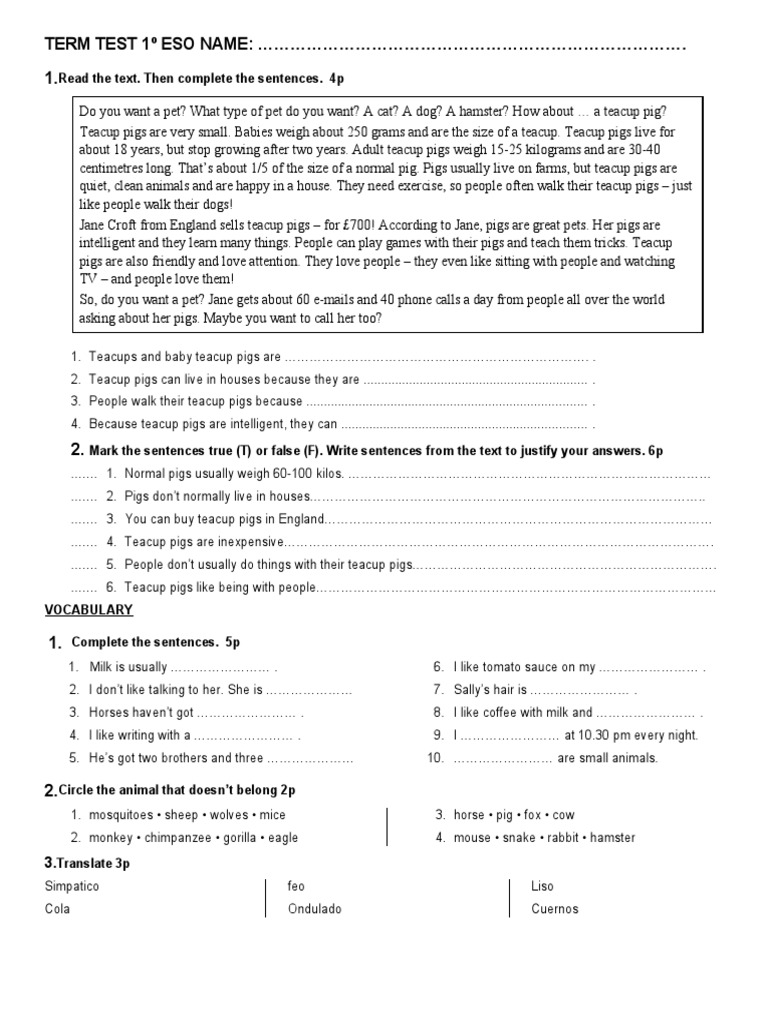 1st-TERM TEST 1º ESO NAME | PDF | Grammar | Linguistic Morphology