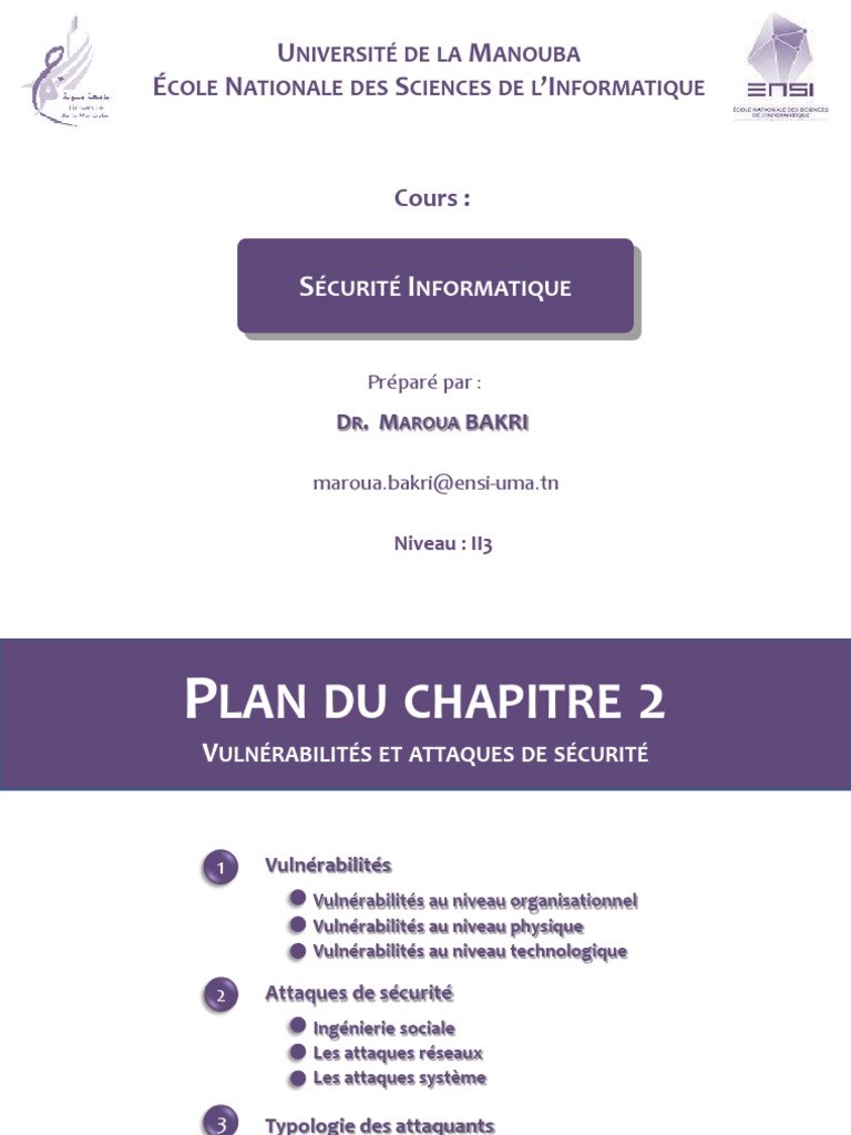 Vulnérabilités et Attaques II3 | PDF | Attaque par déni de service | Système de noms de domaines