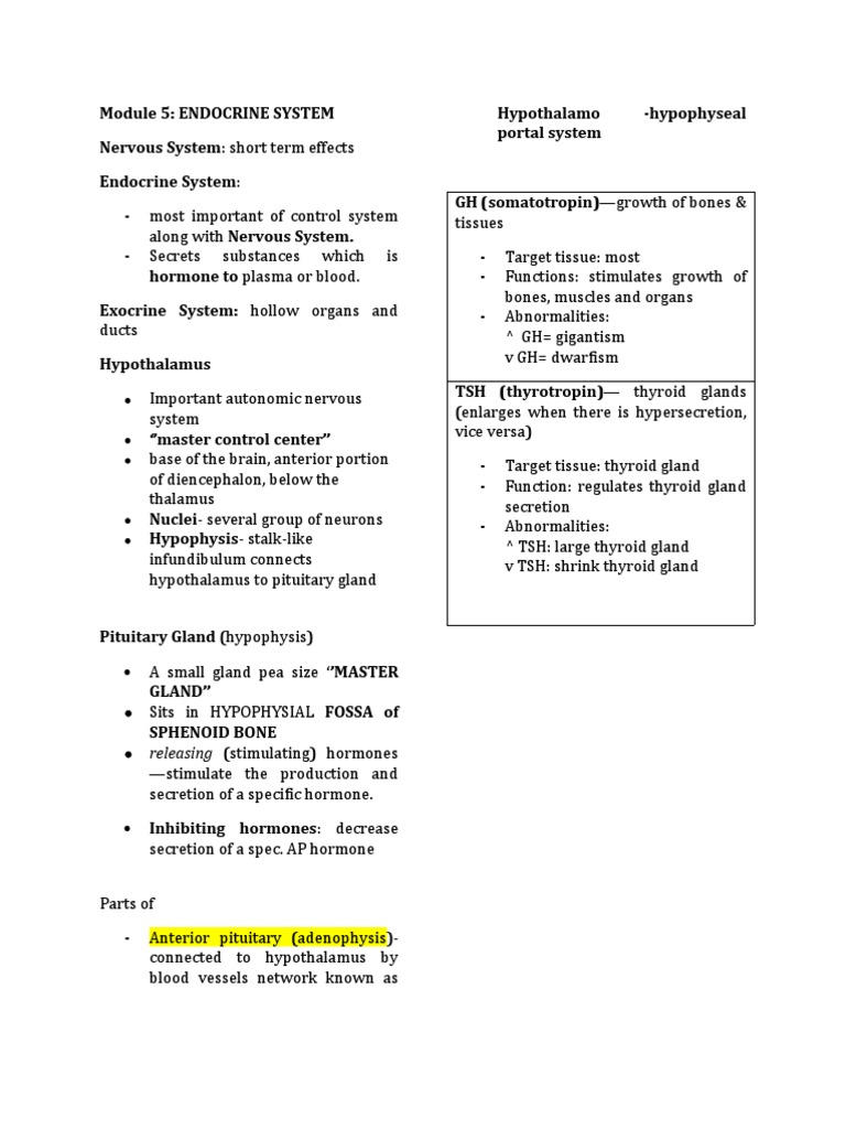 Module 5 | PDF | Endocrine System | Adrenal Gland