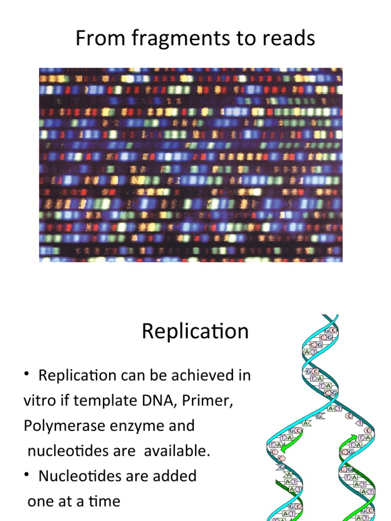 Sequencing Technologies | PDF | Dna Sequencing | Polymerase Chain Reaction