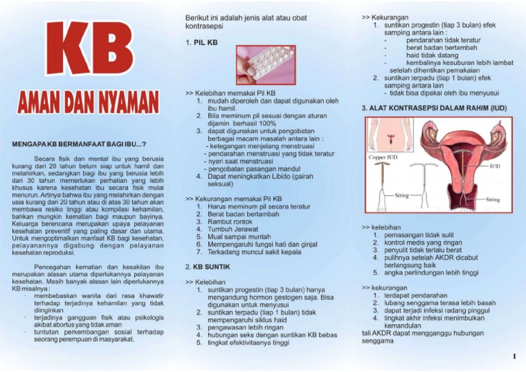 Contoh Leaflet KB | PDF