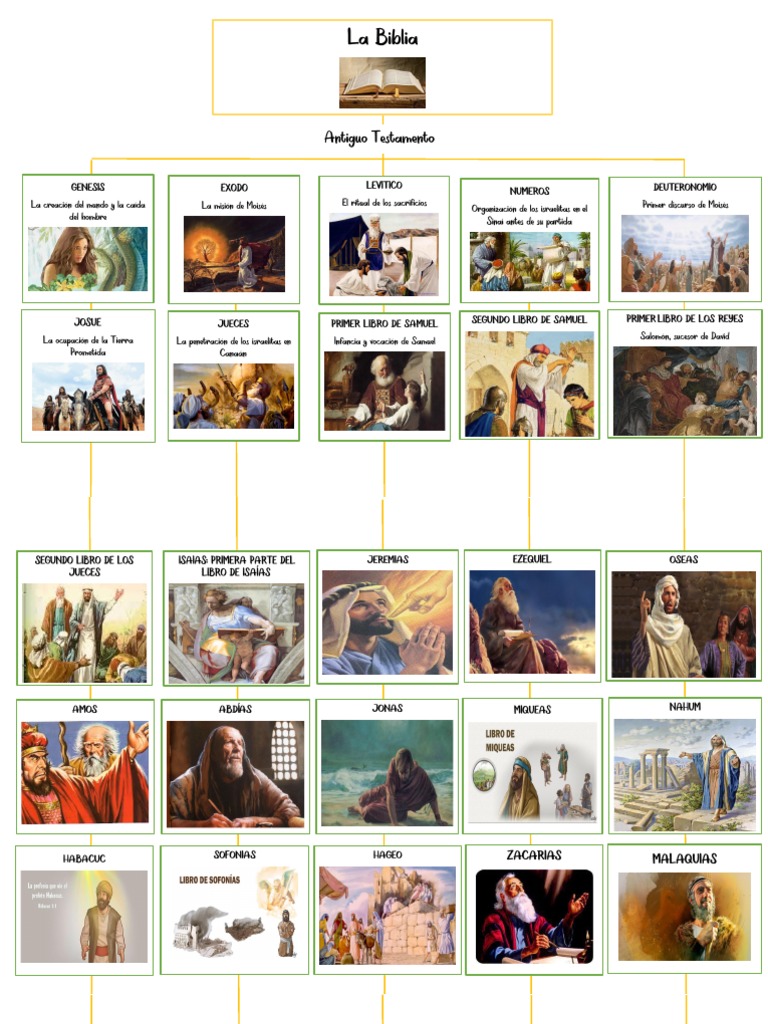 Mapa Conceptual Con Los 73 Libros de La Biblia | PDF