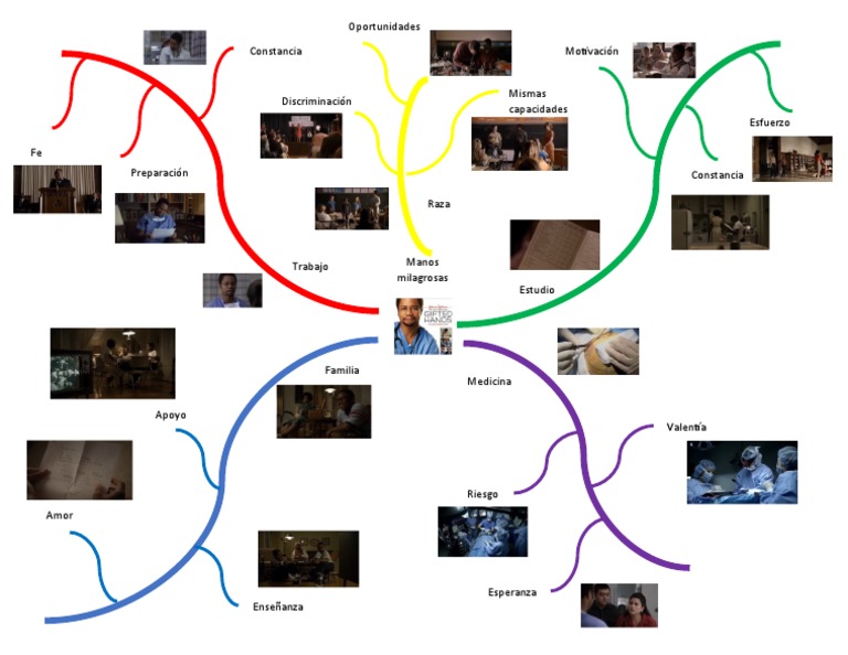 Mapa Mental Pelicula Pdf