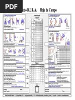Reba - Hoja de Campo | PDF
