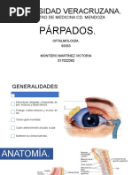 Anatomía de la Cápsula de Tenon | PDF | Ojo | Anatomía de los primates