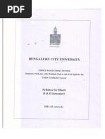 JB Knowledge Park Bca Syllabus Mdu | PDF | Databases | Data Model