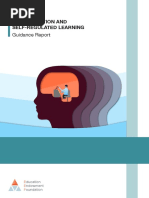 EEF Active Ingredients Summary | PDF | Teachers | Information