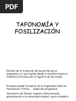 Procesos de Fosilización y Tafonomía | PDF | Fósil | Paleontología