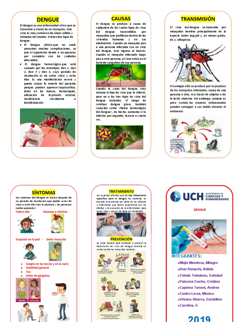 Triptico Dengue | PDF | Epidemiología | Virología