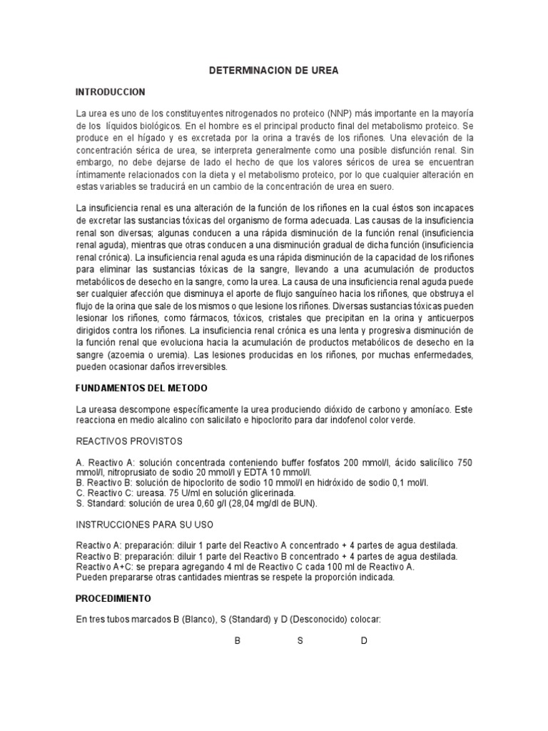 Sesión 10 - Práctica - Determinación de Urea | PDF | Riñón | Sangre