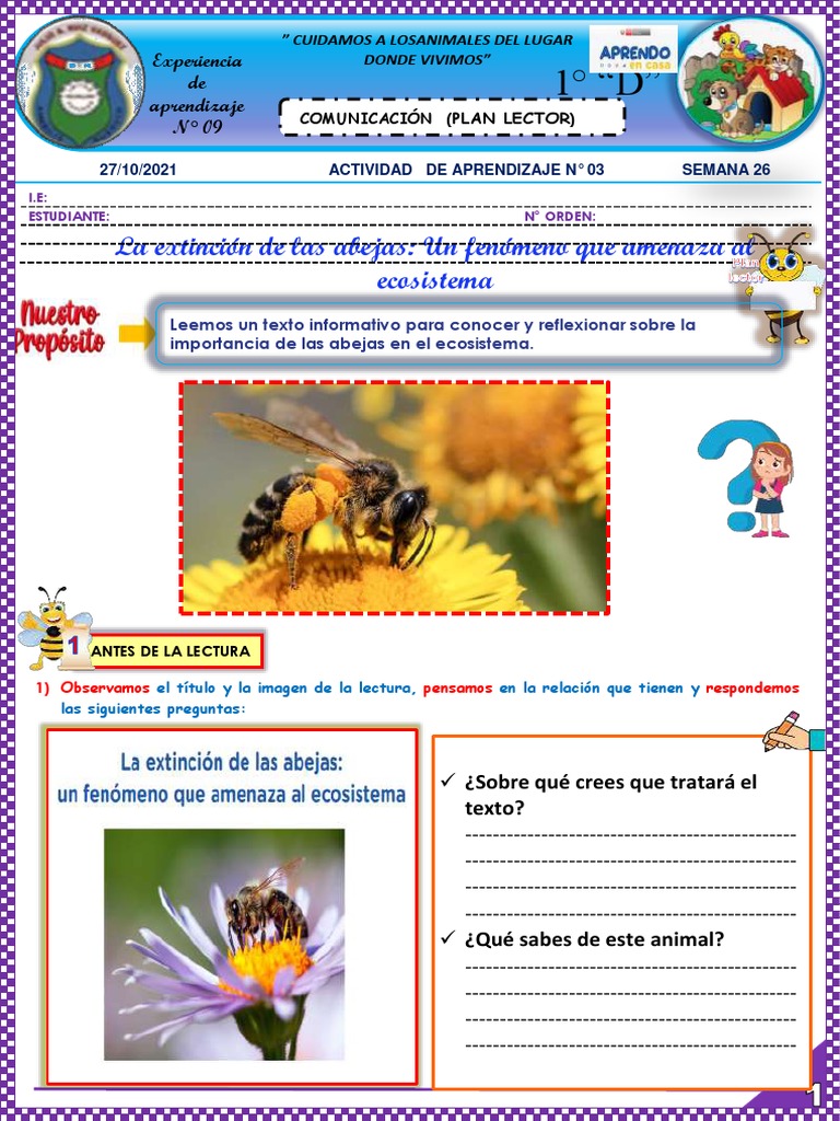 Abejas, Plan Lector | PDF | Abejas | Extinción