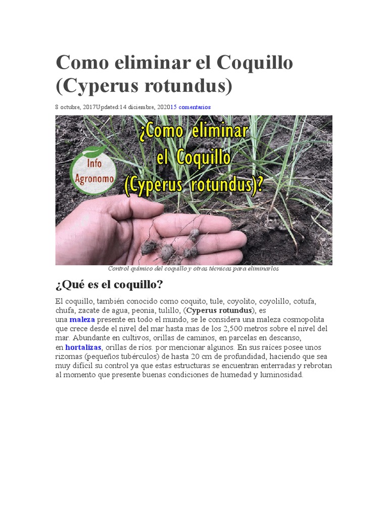 Como Eliminar El Coquillo (Cyperus Rotundus) | PDF | Suelo | Plantas