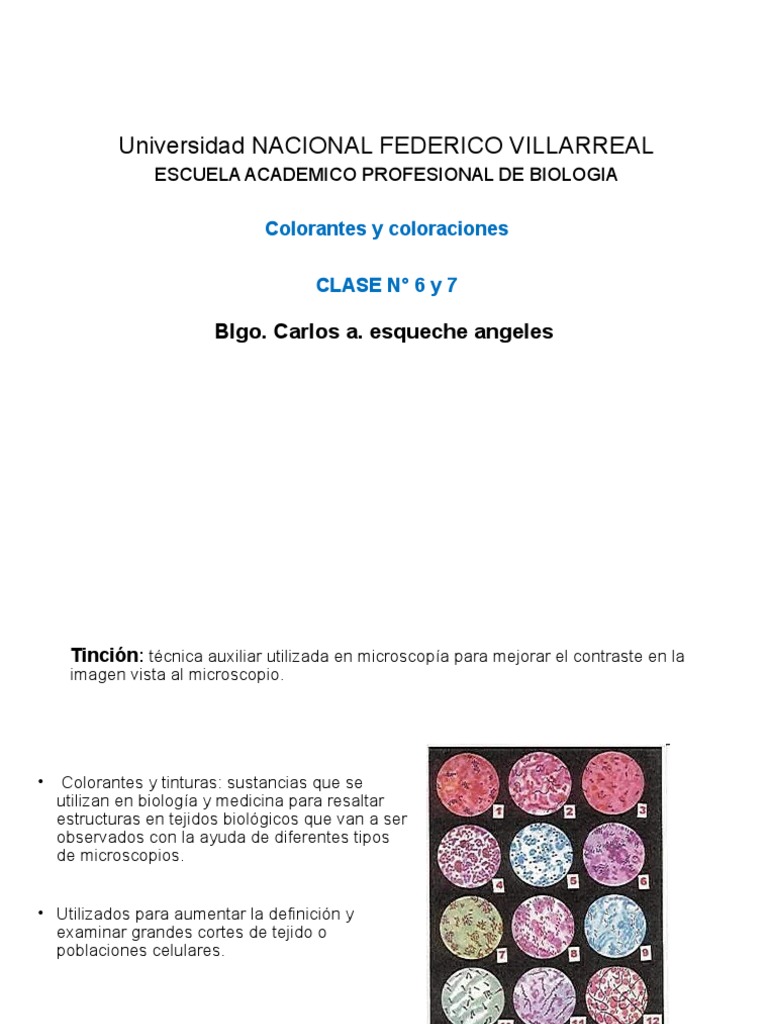 COLORANTES Y COLORACIONES Microbiologia | PDF | Tinción | Bacterias ...