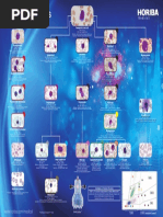Haemonetics PCS2 - Operation Manual | PDF | Blood Donation | Blood Plasma