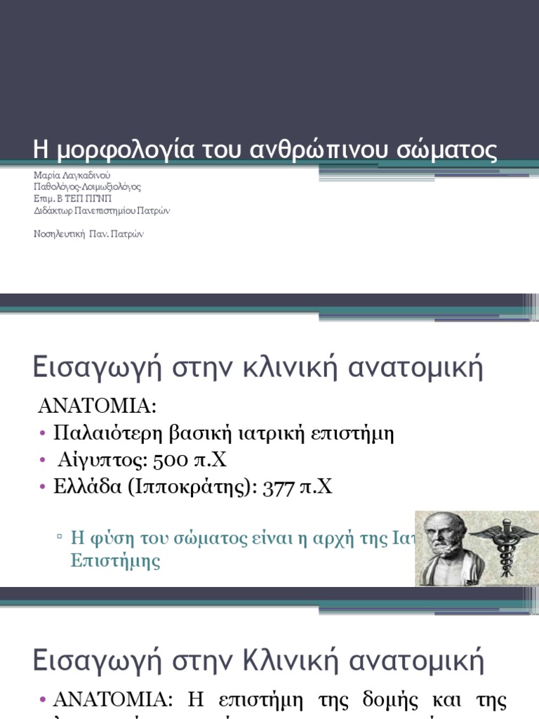 ANATOMIA | PDF