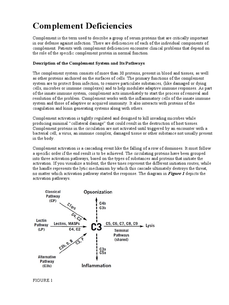 Complement Deficiencies: Description of The Complement System and Its ...