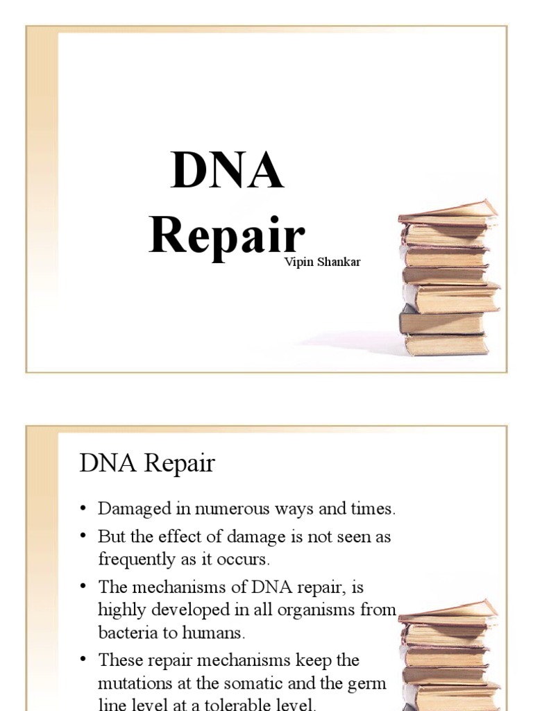 DNA Repair: Vipin Shankar | PDF | Dna Repair | Dna