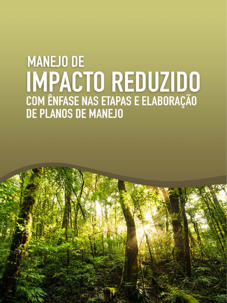 Guia completo sobre o manejo florestal sustentável: procedimentos ...