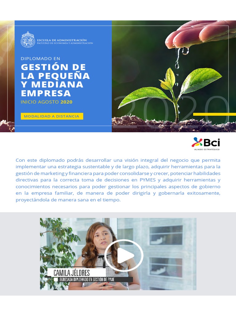 Brochure Diplomado Pyme 2020 | PDF | Pequeñas y medianas empresas | Marketing