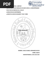 Infografía - Santa Rosa de Lima | PDF | Iglesia Católica