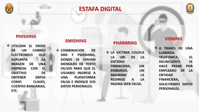 Fraude Informatico - Estafa Digital | PDF