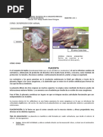 Tipos de Placenta en Animales | PDF | Placenta | Biología