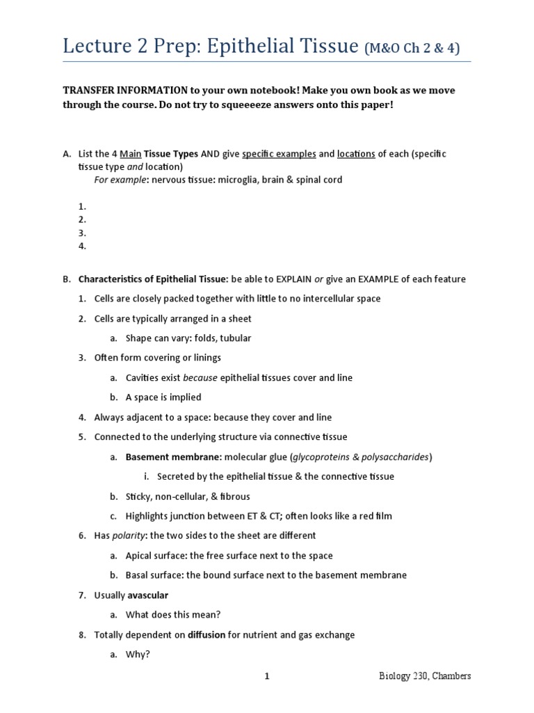 Lecture 2 Ass Prep, Epithelial Tissues, 230 | PDF | Epithelium | Tissue ...