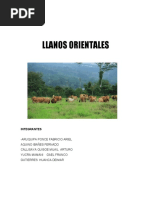 LITOSOLES | PDF | Suelo | Roca (geología)