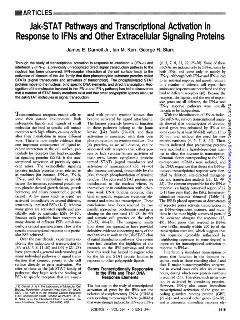 Alpha Interferon | PDF | Signal Transduction | Interferon Gamma