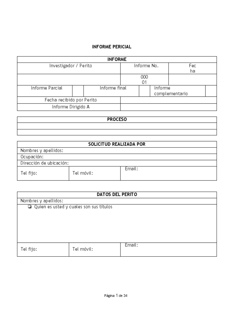 Formato Informe Pericial | PDF | Cognición