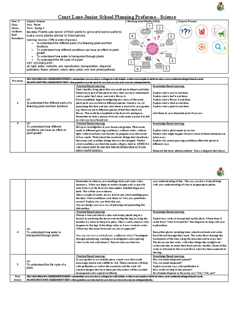Year 3 Science Plants Planning.198867045 | PDF | Plants | Flowers