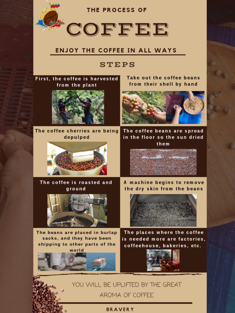 Bravery Coffee Infographic | PDF