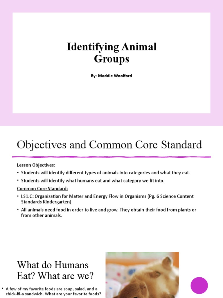 Kindergarten Lesson Plan 1 Animals Group PP | PDF | Mammals | Amphibian