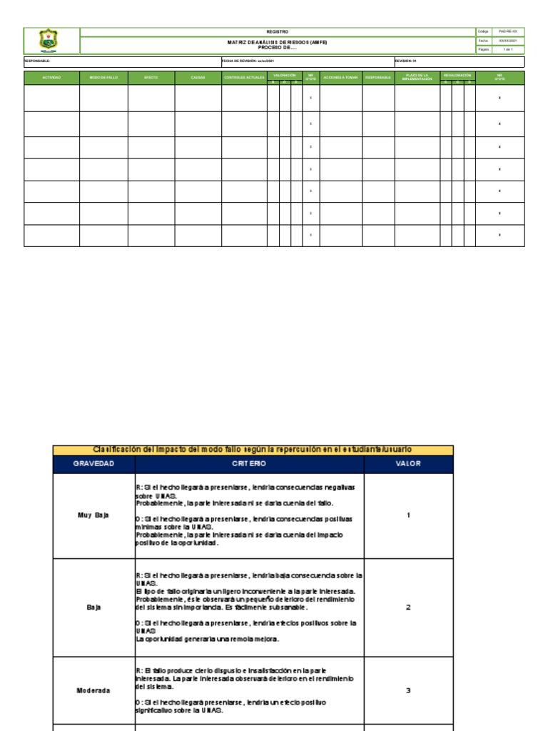 Matriz AMFE - Proceso | PDF