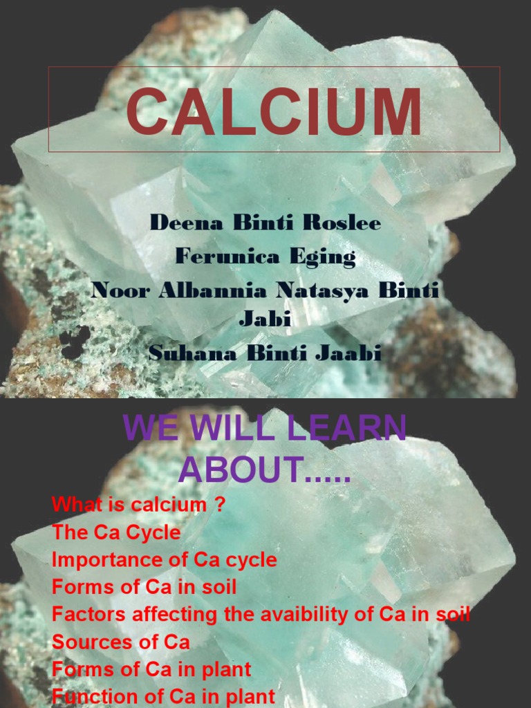 Calcium | PDF | Soil | Plant Nutrition