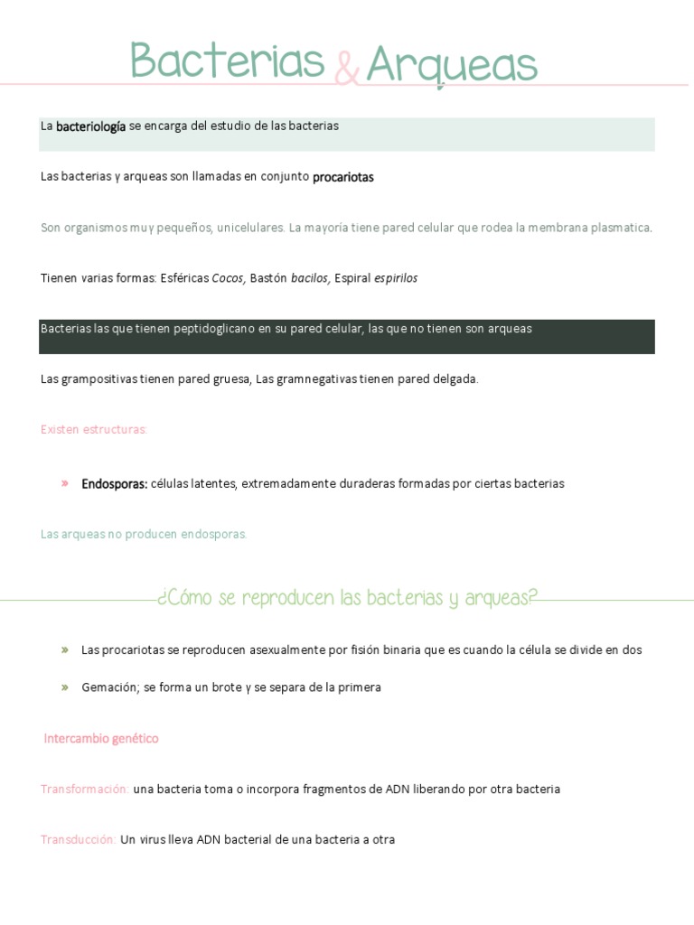 Bacterias y Arqueas | PDF | Las bacterias | Archaea