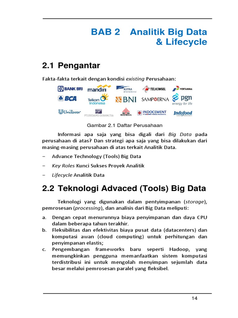 Bab 2 Data Analityc | PDF