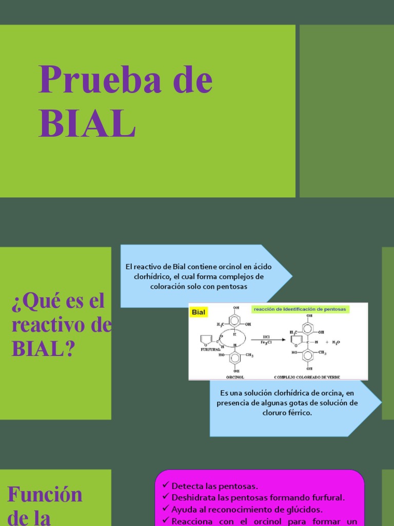 Prueba de Bial | PDF