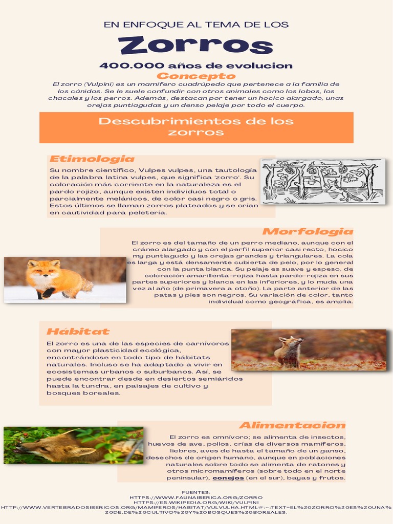 Características del Zorro para Niños | PDF | Zoología