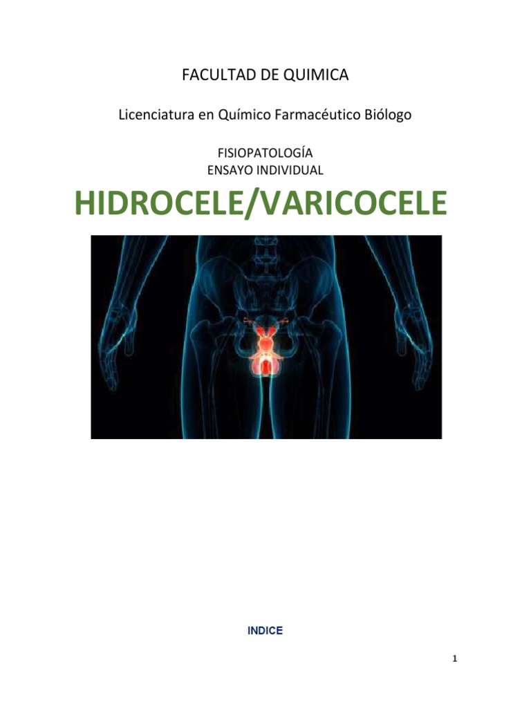 Varicocele e Hidrocele: Fisiopatología y Clasificación | PDF ...