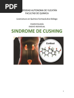 Reflejo o Triada D Cushing | PDF | Hipertensión | Anatomía humana