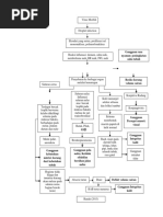 PATOFISIOLOGI Dan Pathway Sifilis | PDF
